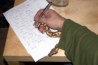 Chelydra.Org - Stan's Snake Page